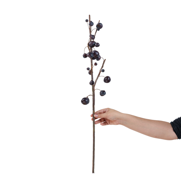 » PLANT PERSIMMON FRUIT -PURPLE