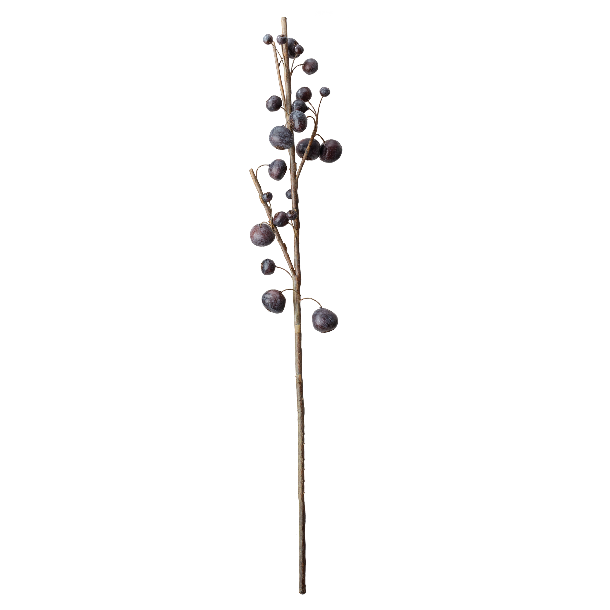 » PLANT PERSIMMON FRUIT – PURPLE